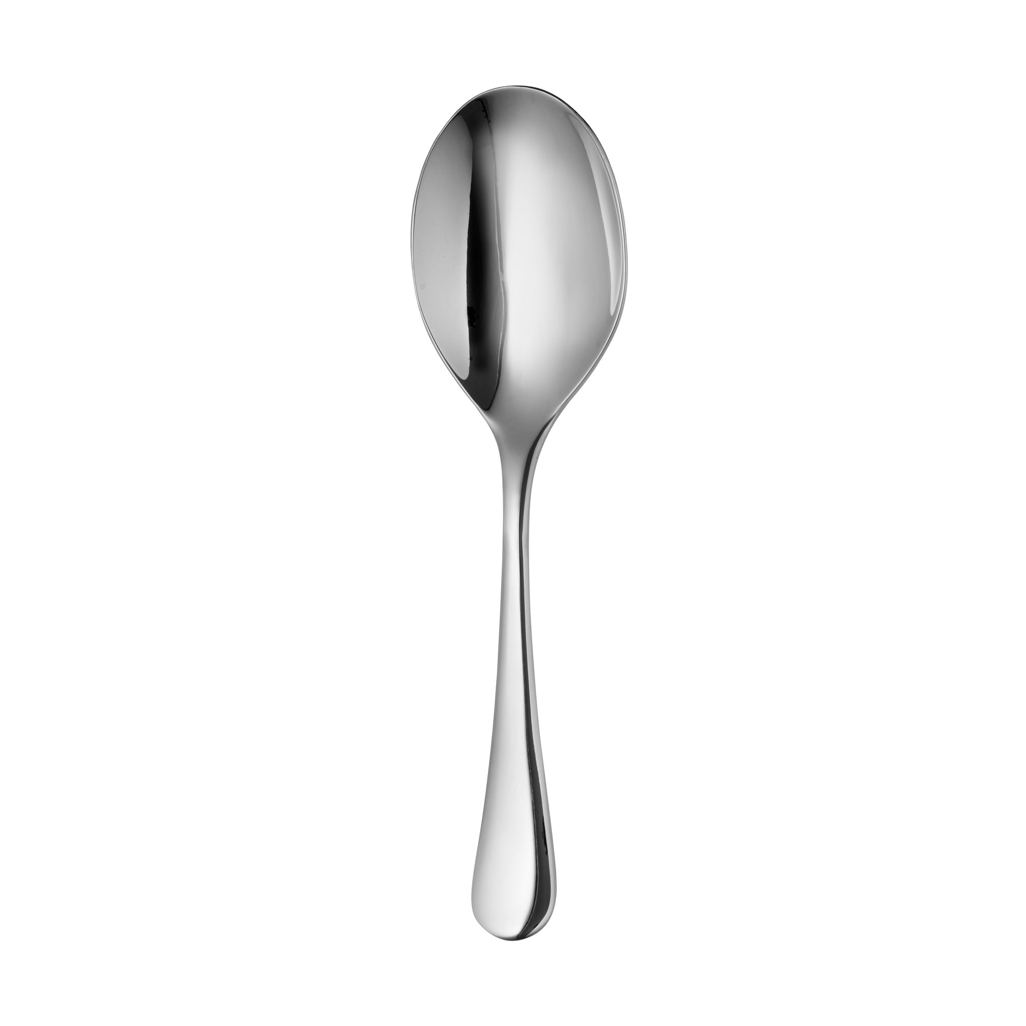 Radford Bright Gourmet Serving Spoon | Robert Welch Designs Ltd